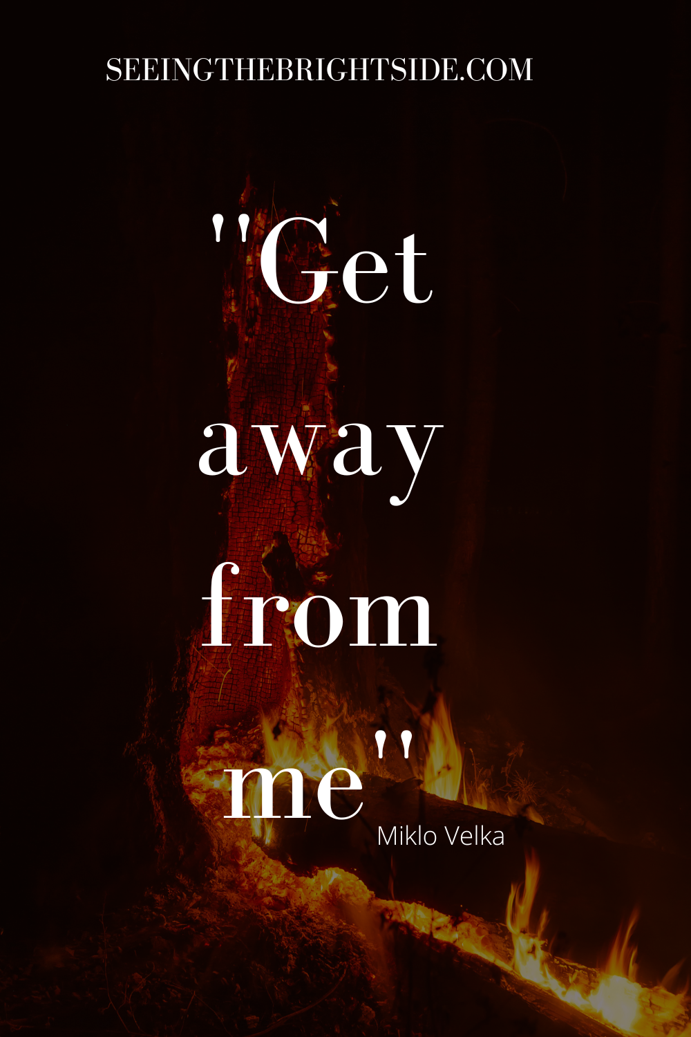 Top 100 Blood In Blood Out Quotes - Seeing the bright side